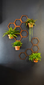 Hexagon Trellis Wall Planter | Entanglements Metal Art