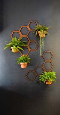 Hexagon Trellis Wall Planter | Entanglements Metal Art