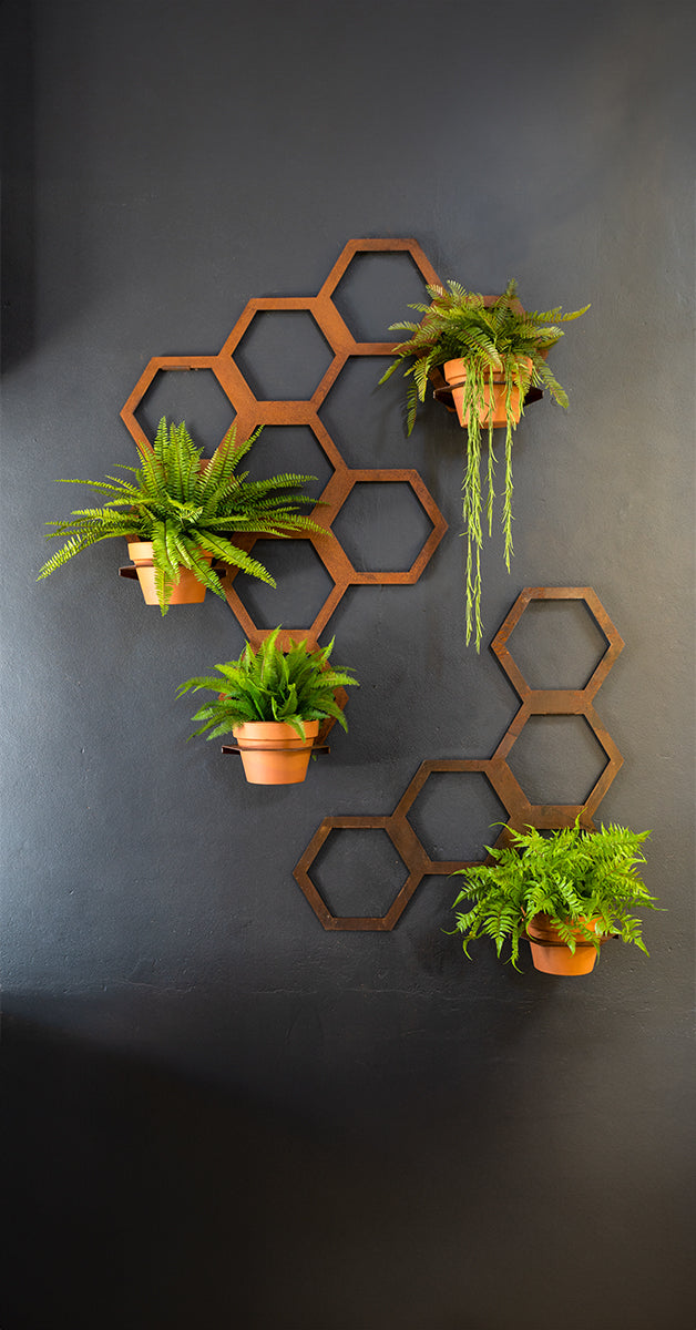 Hexagon Trellis Wall Planter | Entanglements Metal Art