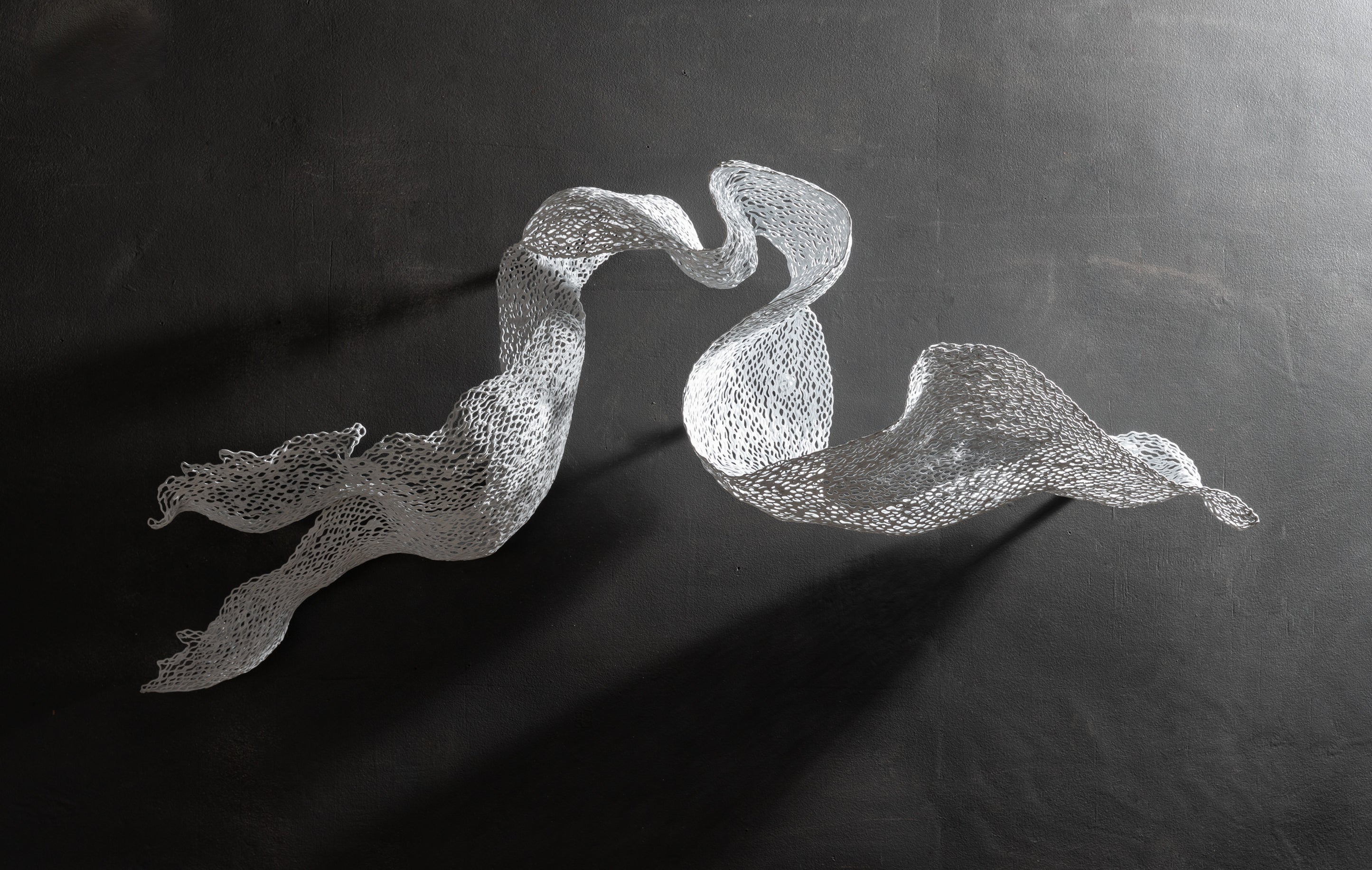 Ribbon Metal Wall Art | Entanglements