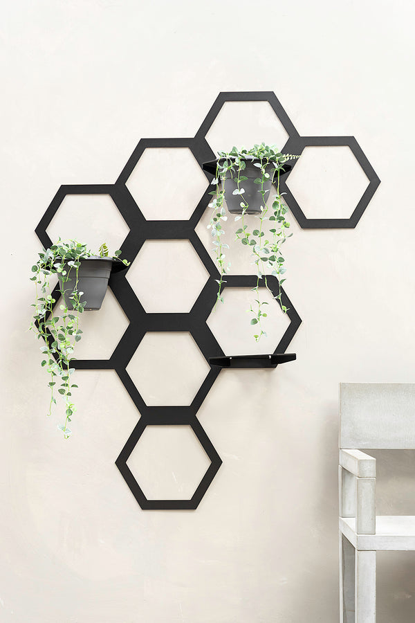 Hexagon Trellis Wall Planter | Entanglements Metal Art