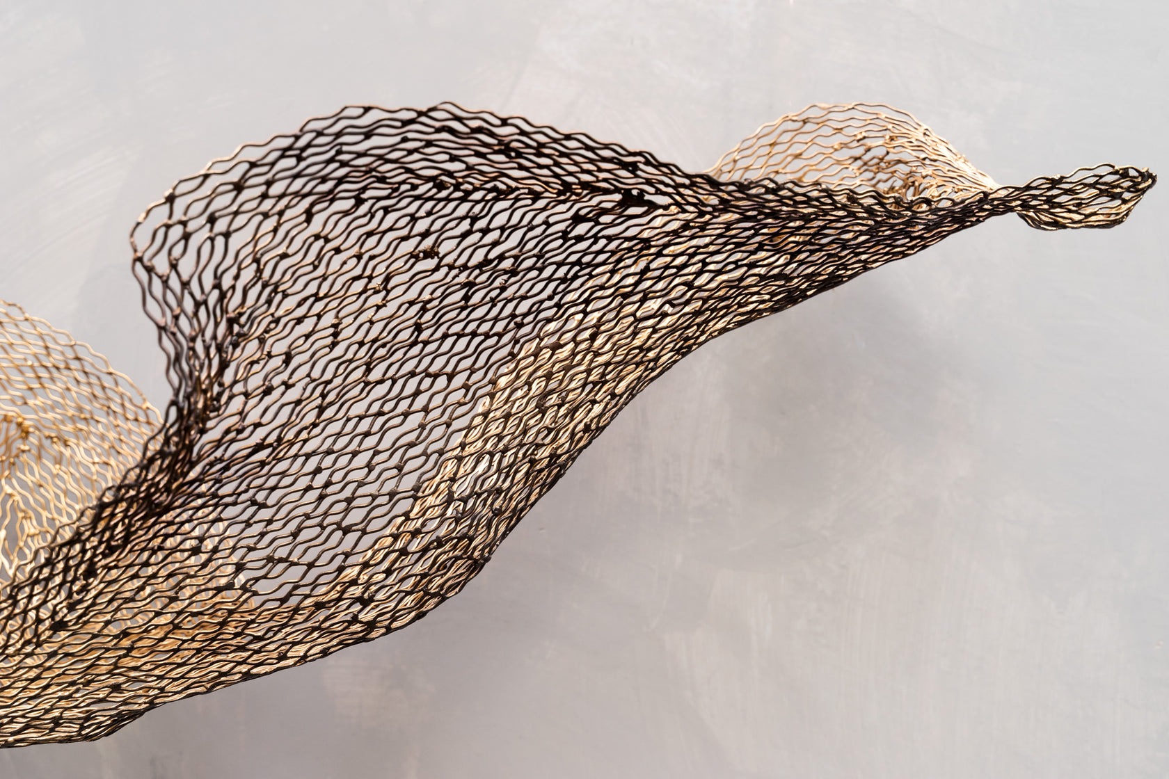 Ribbon Metal Wall Art | Entanglements