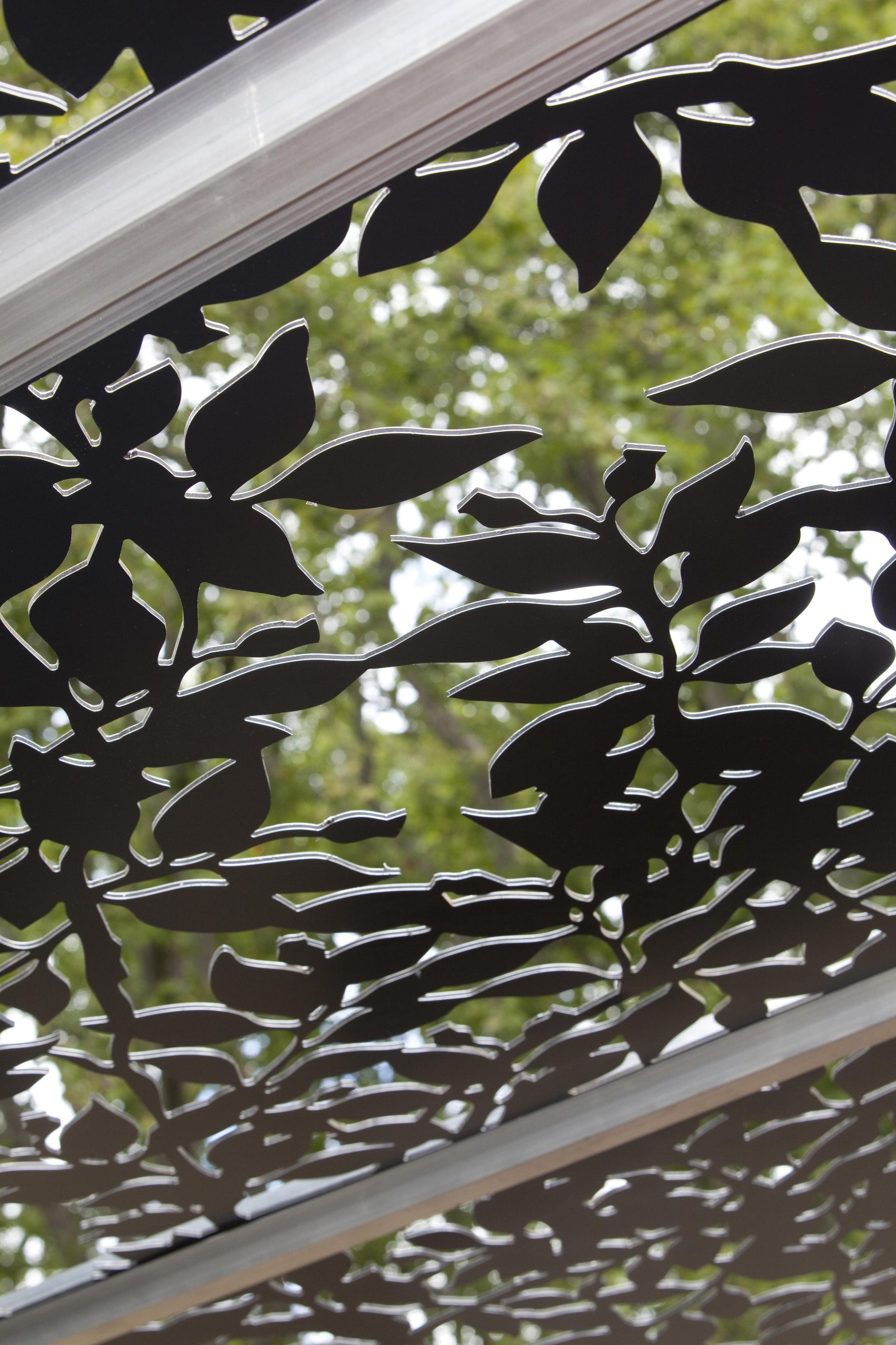 Banksia Nut Decorative Screen | Entanglements Metal Art