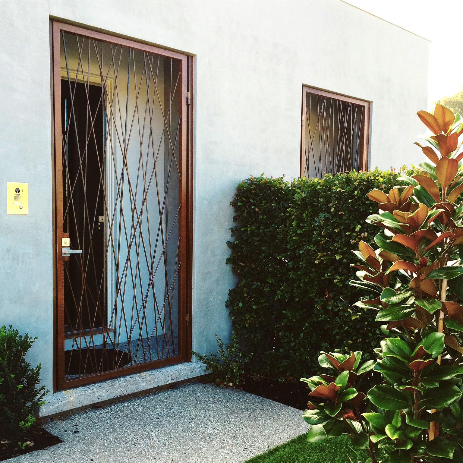 Decorative Metal Security Screen Doors Melbourne | Entanglements